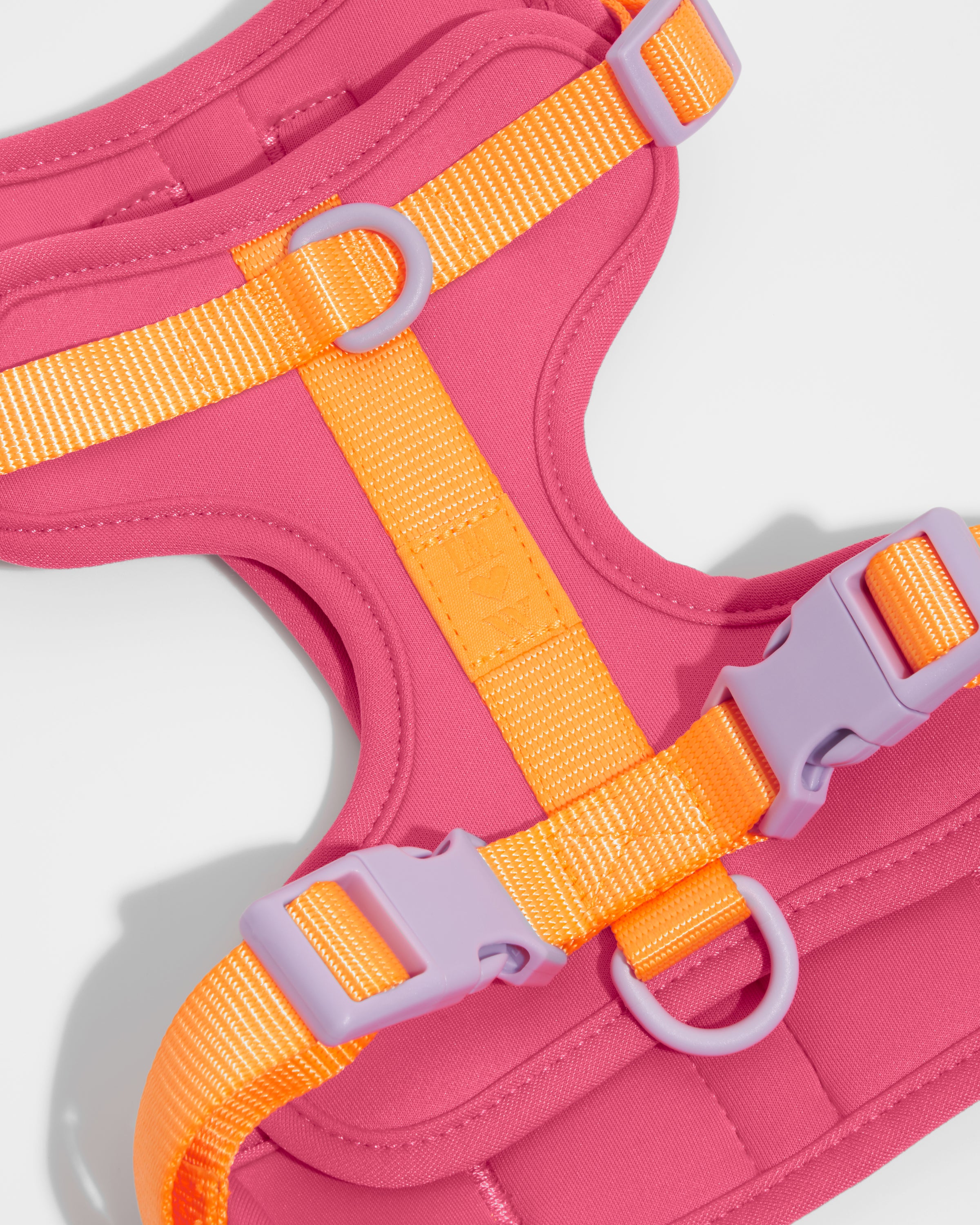 [XS, L] Wild One Harness, Limited Edition, IM Cosmopolitan Pink – NNYEO