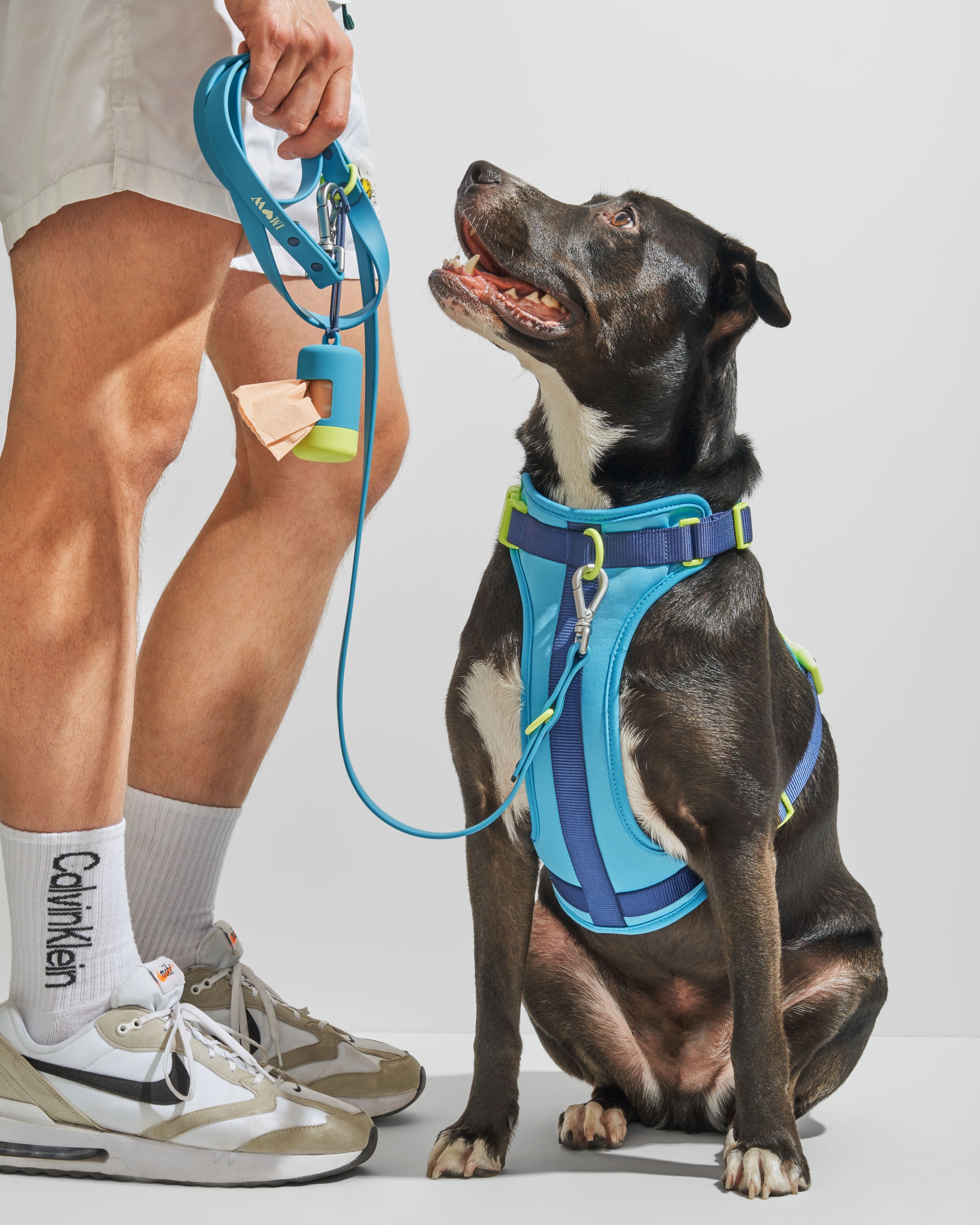 [XS, L] Wild One Harness, Limited Edition, IM Hudson Blue – NNYEO